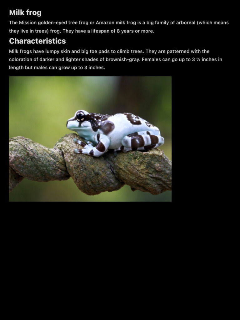 Milk Frog 6 | PDF