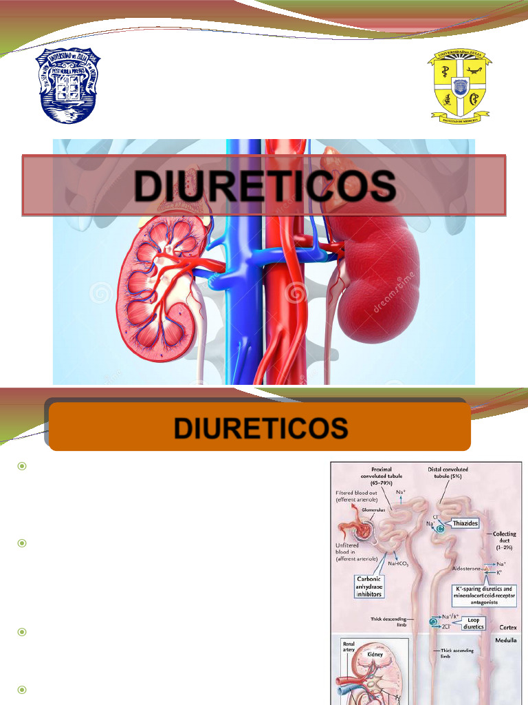 Diuréticos: Mecanismos y Usos Clínicos | PDF