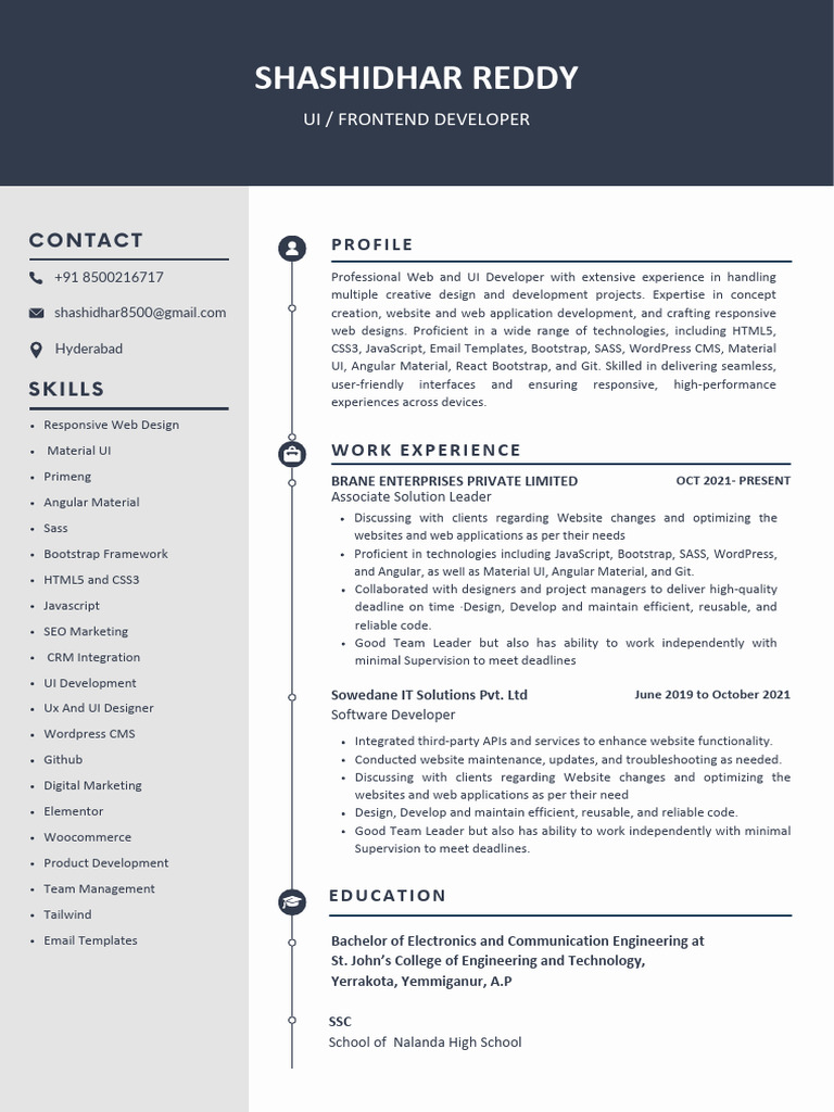 UI/Frontend Developer Profile Summary | PDF | Web Design | User Interface