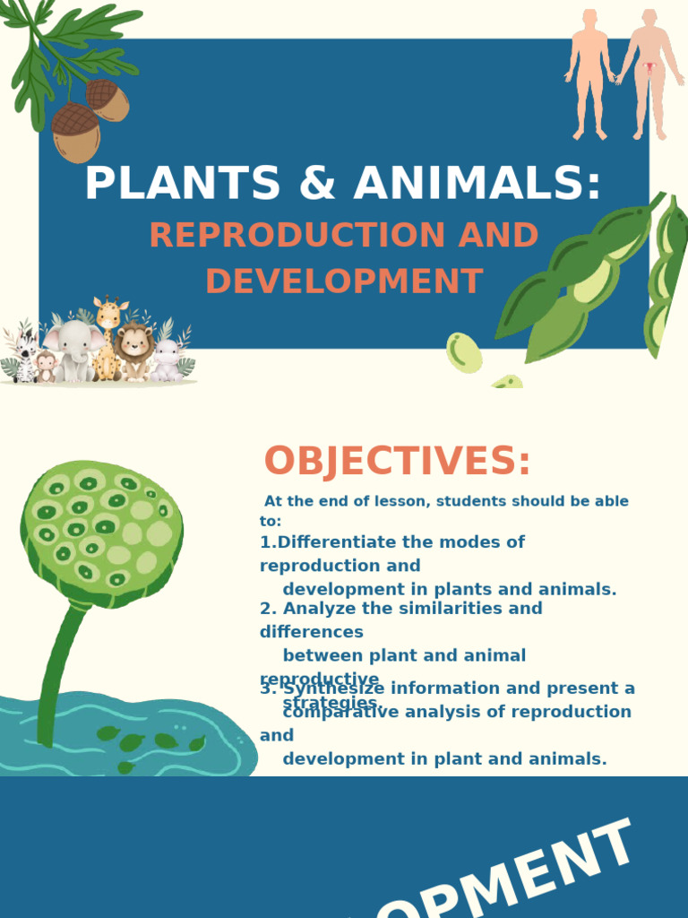 Plants and Animals Development 1 | PDF | Developmental Biology | Uterus