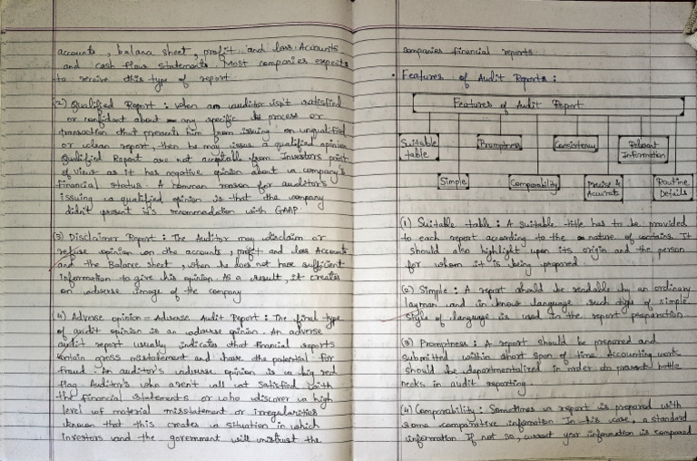 Audit practical 1, 2 and 3 (1)-9 | PDF