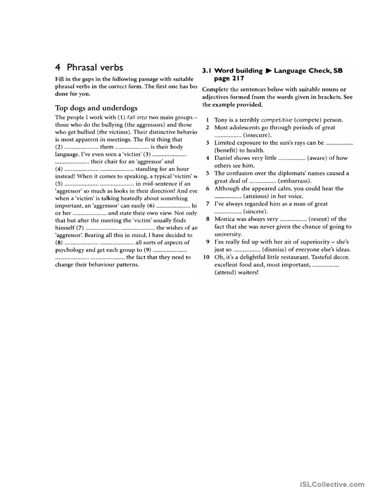 Grammar Worksheet For CAE | PDF