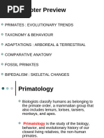 Primate Chart | PDF | Monkey | Ape