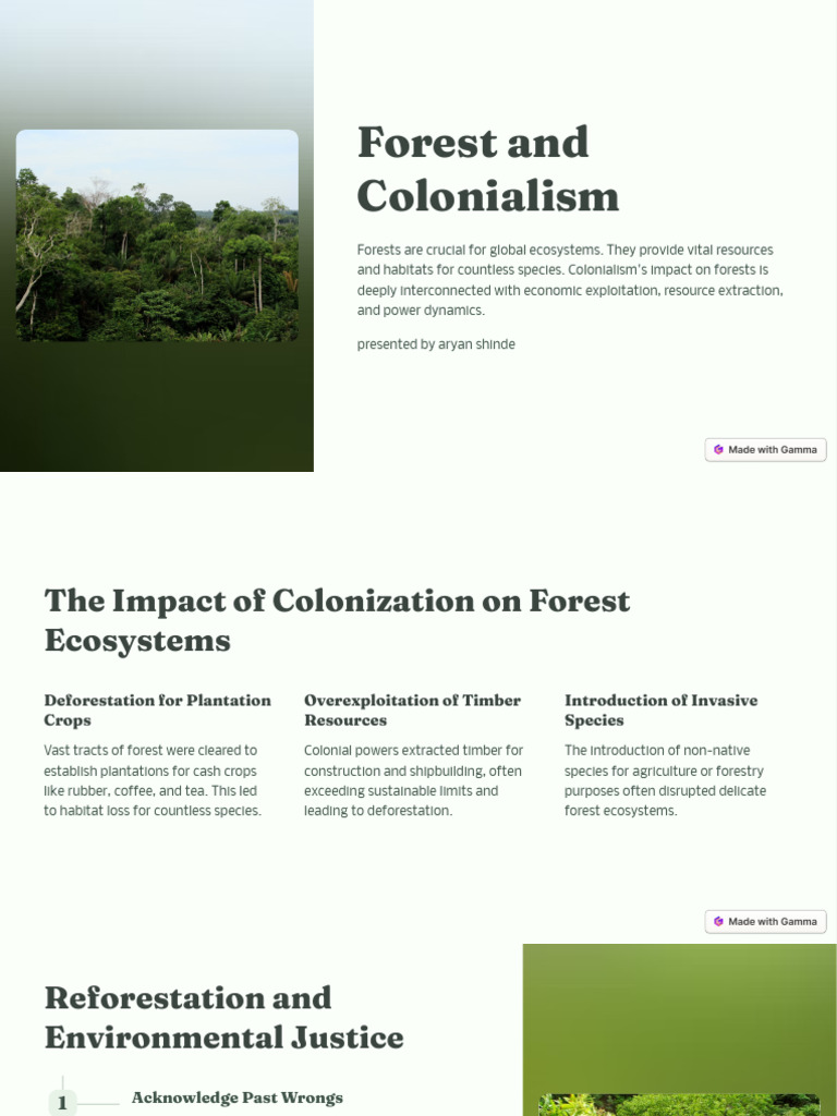 Forest and Colonialism | PDF | Forest Management | Deforestation