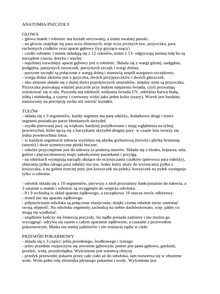 Cwiczenia Owady | PDF