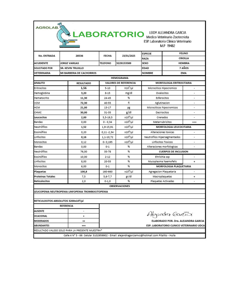 Ema Vargas Felino Barberia CHC | PDF | Leucocito | Especialidades Medicas