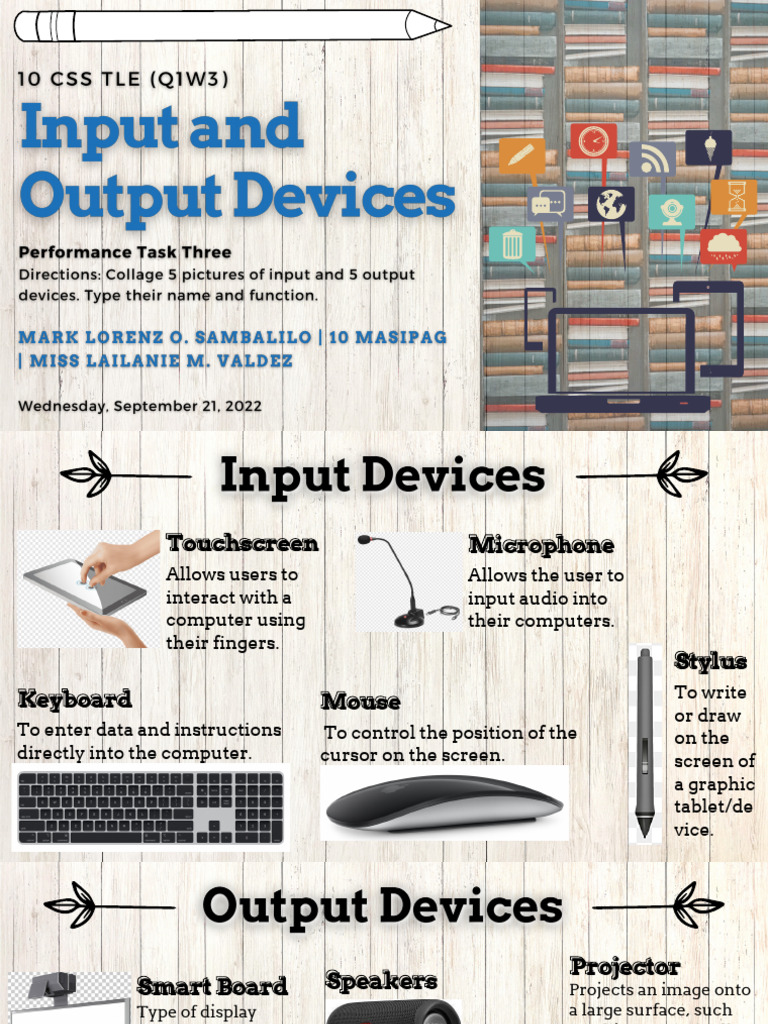 10 CSS TLE (Q1W3) Input and Output Devices | PDF