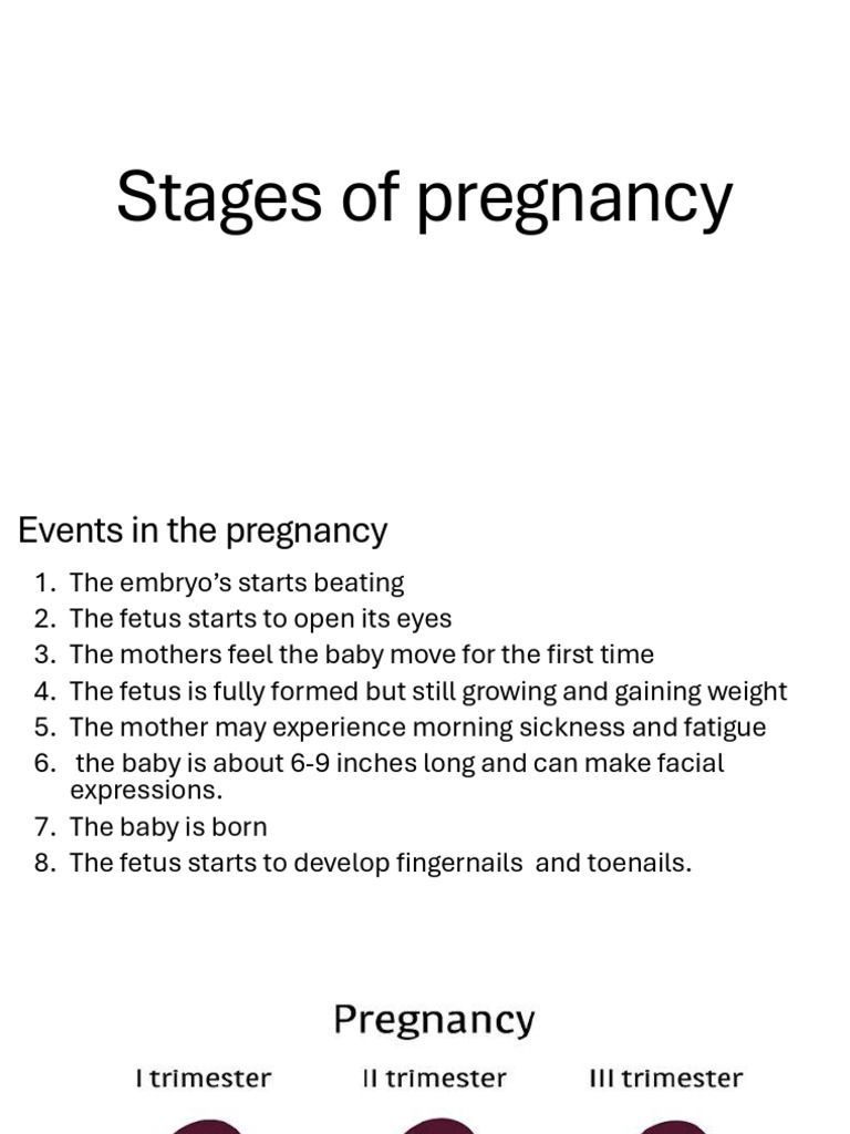 Key Events in Pregnancy Stages | PDF | Pregnancy | Fetus