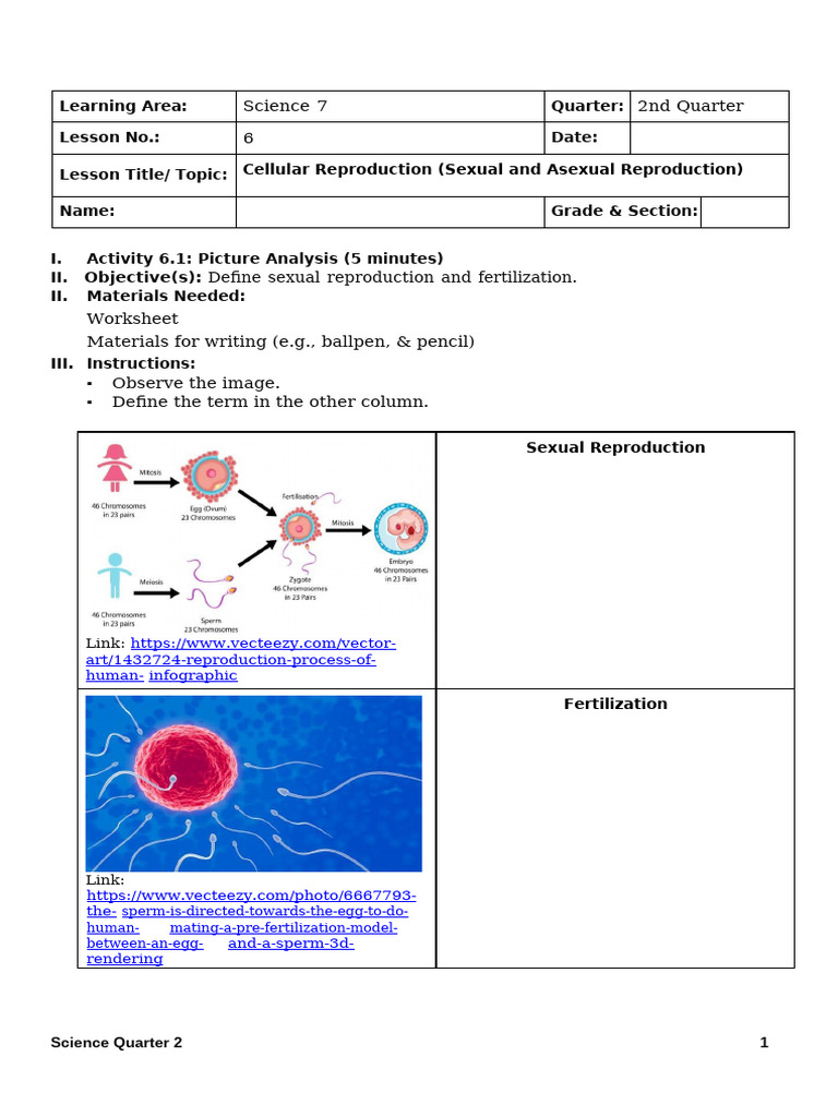 Cellular Reproduction: Key Concepts | PDF | Reproduction | Sexual ...