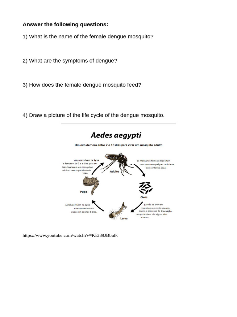 Perguntas em Inglês Dengue | PDF