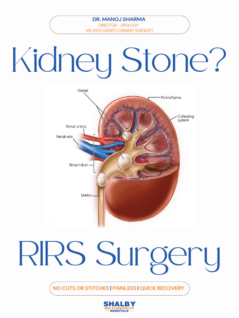 Kidney Stone | PDF