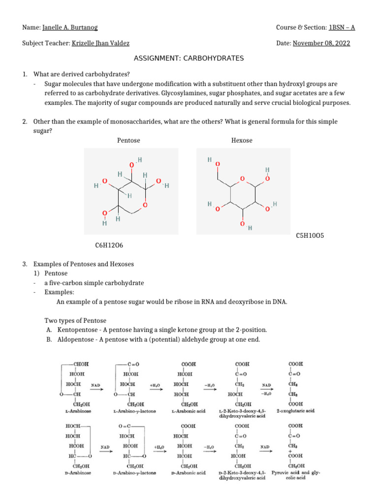 Biochem Assignment Carbohydrates | PDF