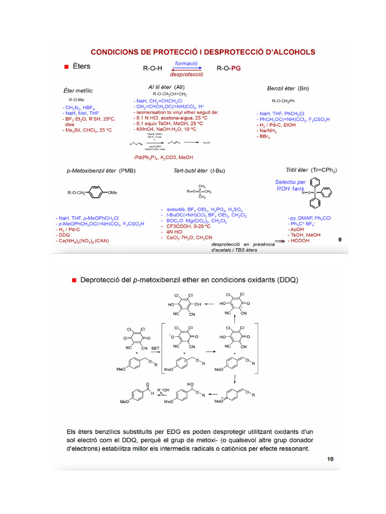 Apunts Grups Protectors | PDF