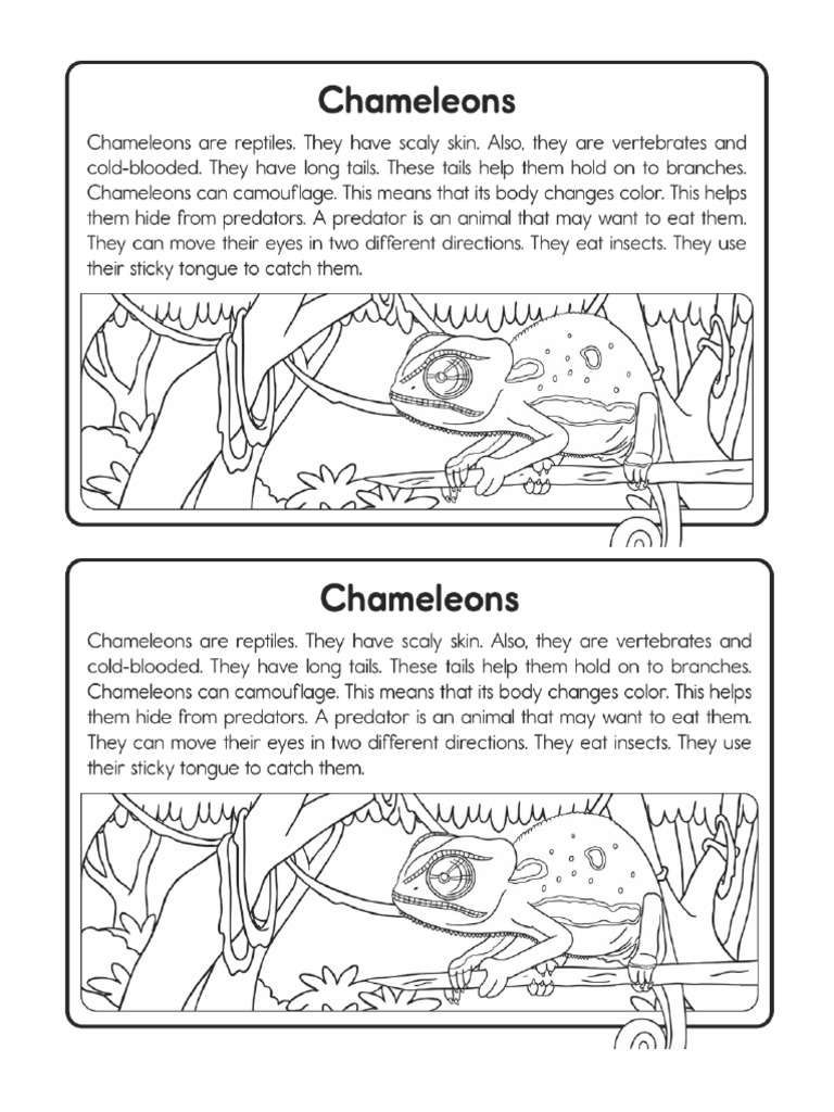 Dinosaurs | PDF