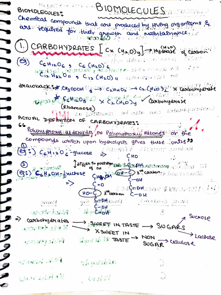 Biomolecules Notes | PDF