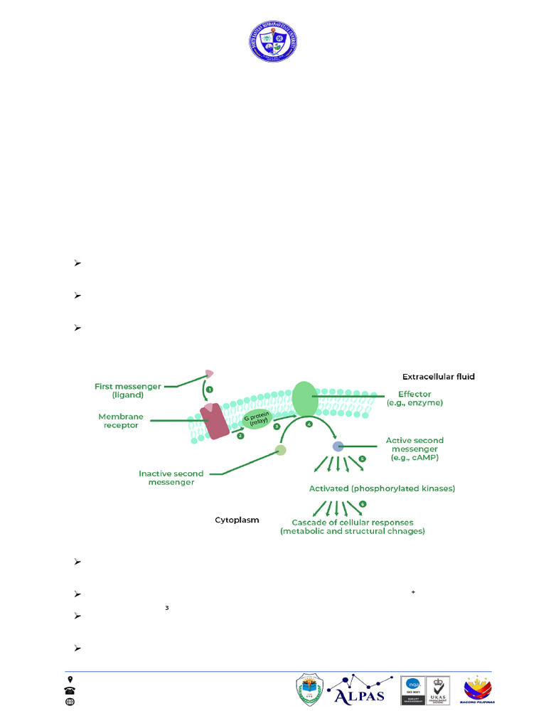 U10 - LC - First Messengers and Second Messengers in Signal ...