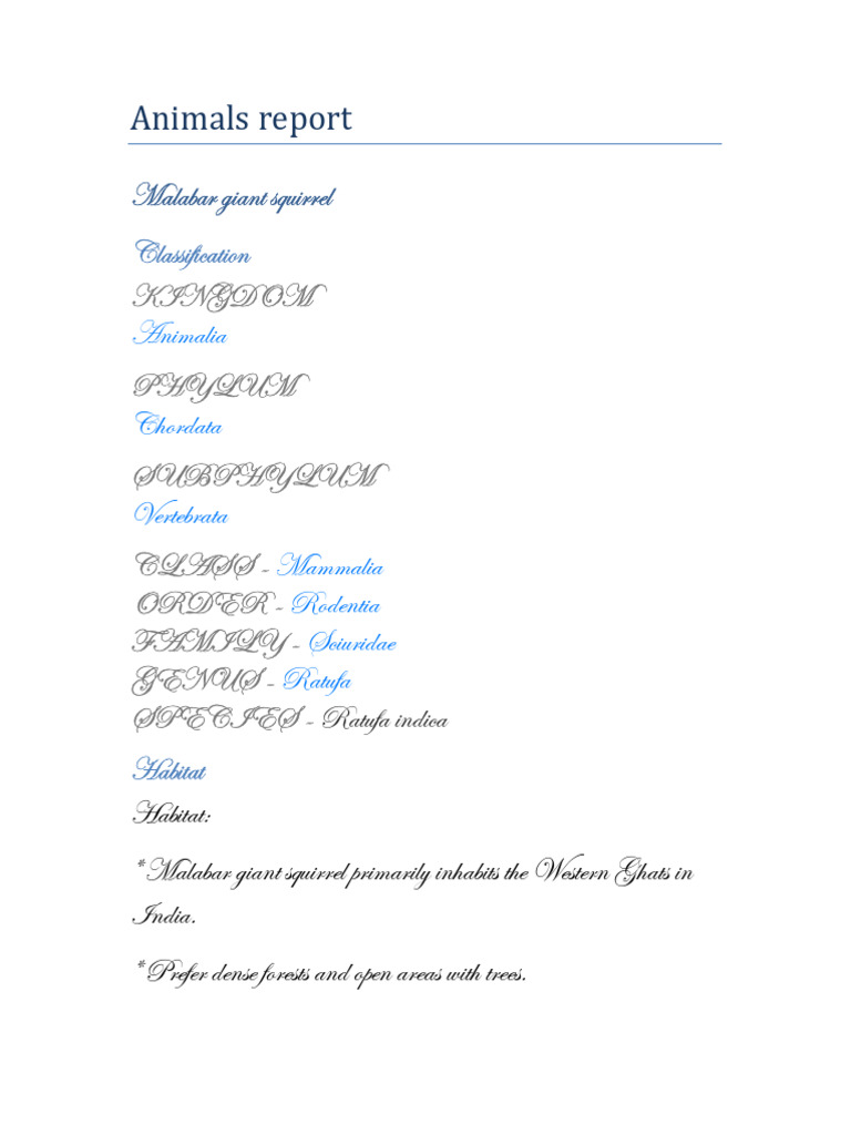 Animals report | PDF | Mammals | Excretion