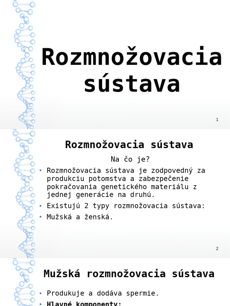 Rozmnožovacia Sústava | PDF