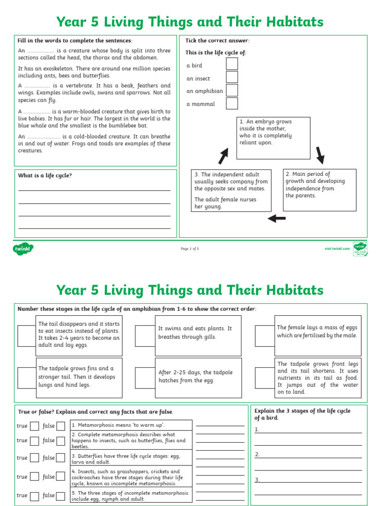 Year 5 Living Things and Their Habitats Revision Activity Mat | PDF ...