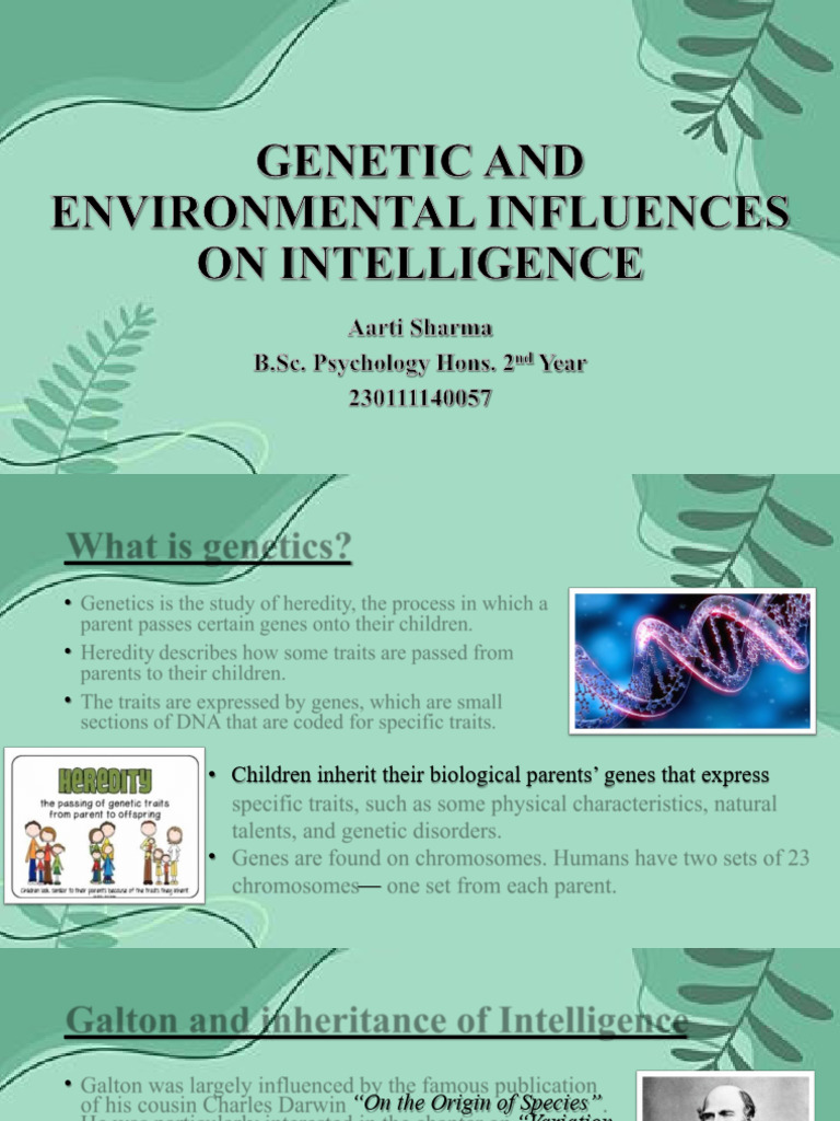 Genetic and Environmental Influences On Intelligence | PDF | Heredity | Genetics