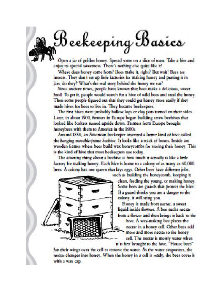 Reading Comp 1 | PDF