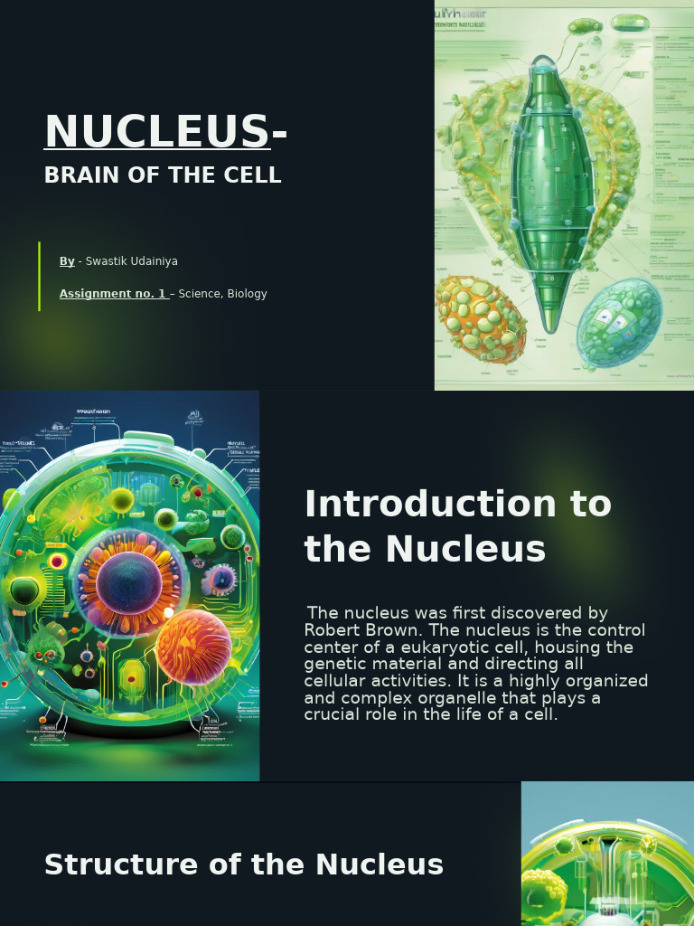 Nucleus, Class 9 | PDF | Cell Nucleus | Cell (Biology)