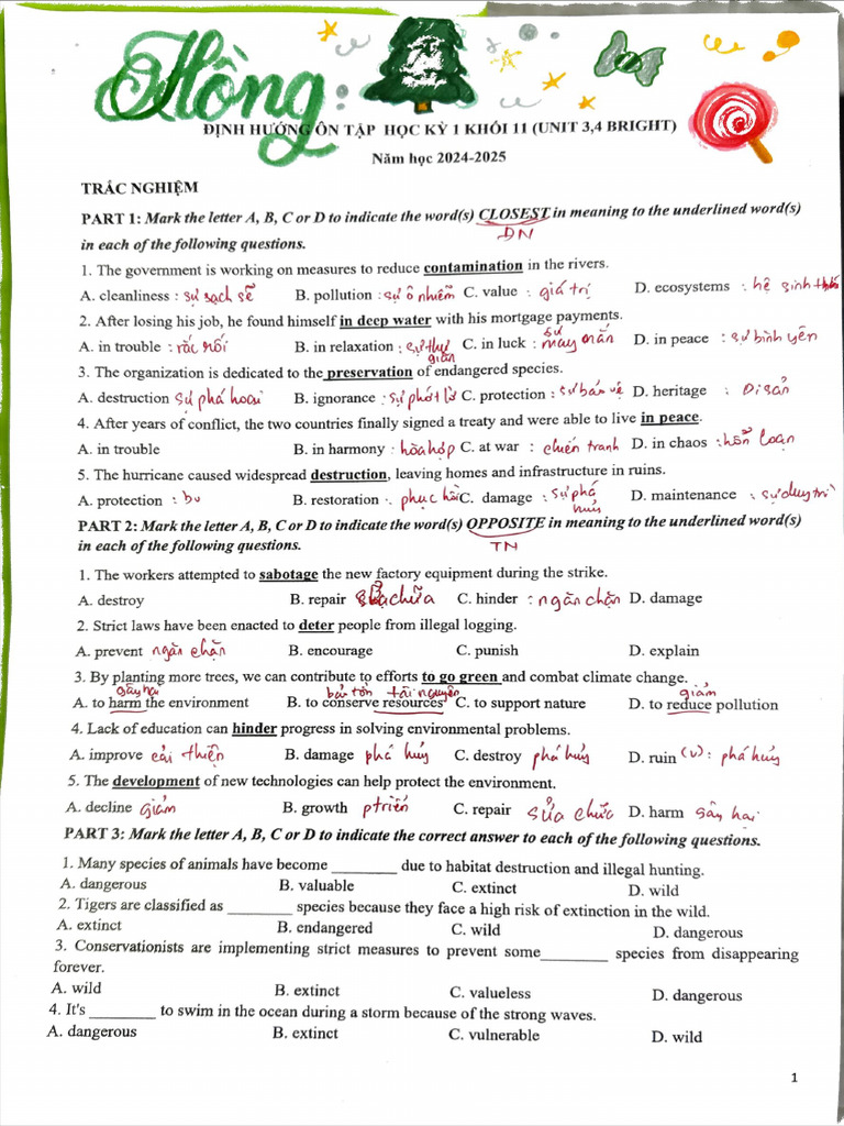 Bright 11 Revision Hk1 | PDF