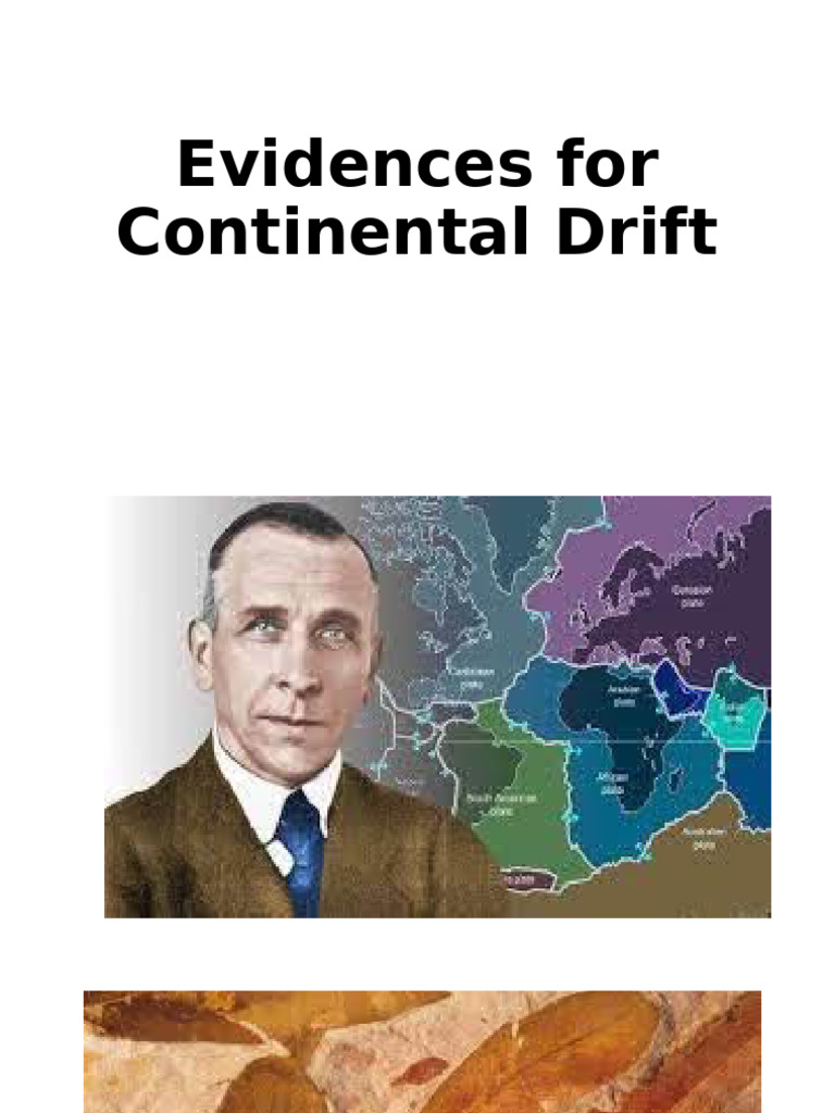 Evidence Supporting Continental Drift | PDF