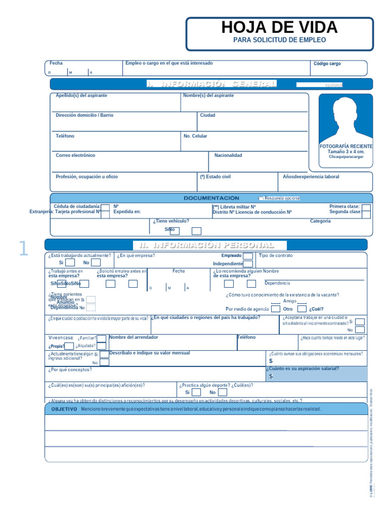 Formato Hoja de Vida Minerva 1003 PDF | PDF | Economias