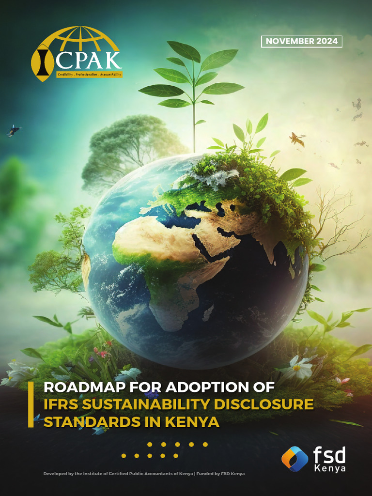 IFRS Sustainability Standards Roadmap | PDF | Sustainability | Natural ...