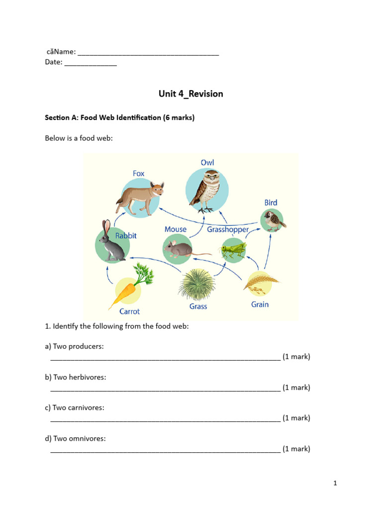 Unit 4_Revision | PDF | Foods | Food Web