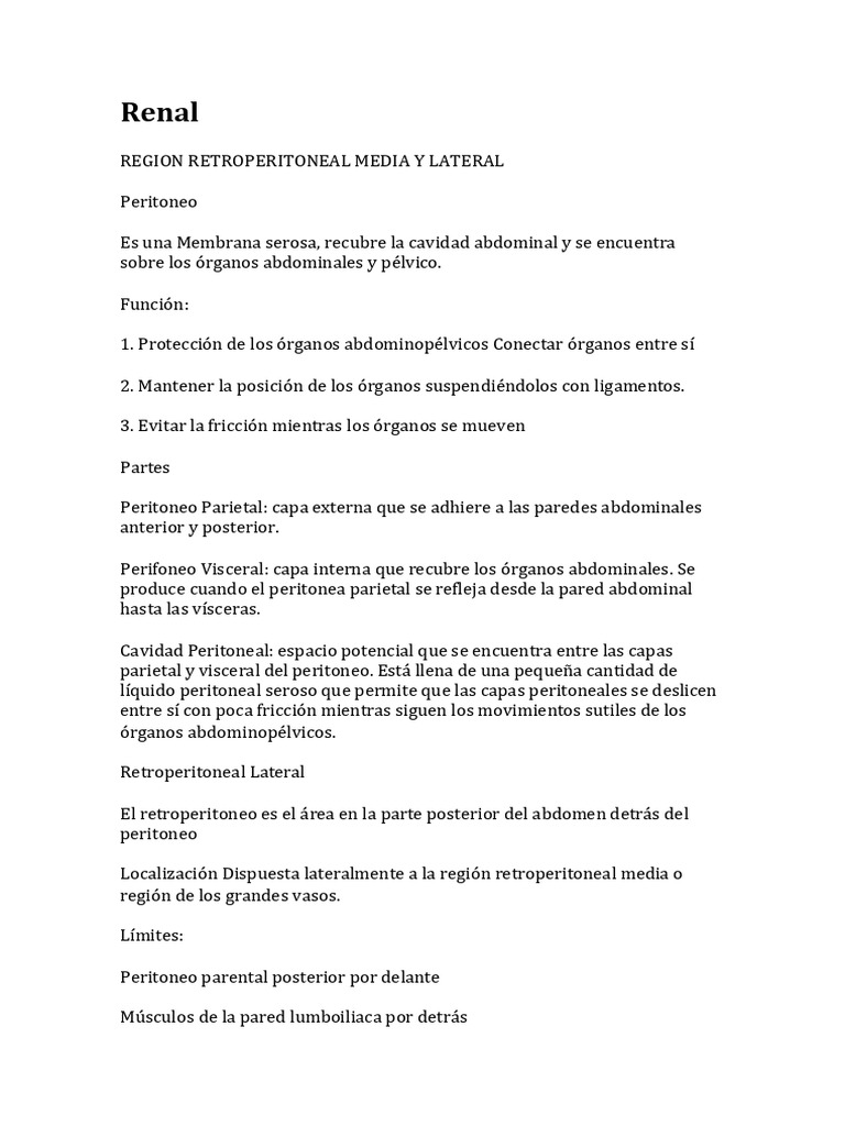 Anatomía del Retroperitoneo y Órganos | PDF | Abdomen | Riñón