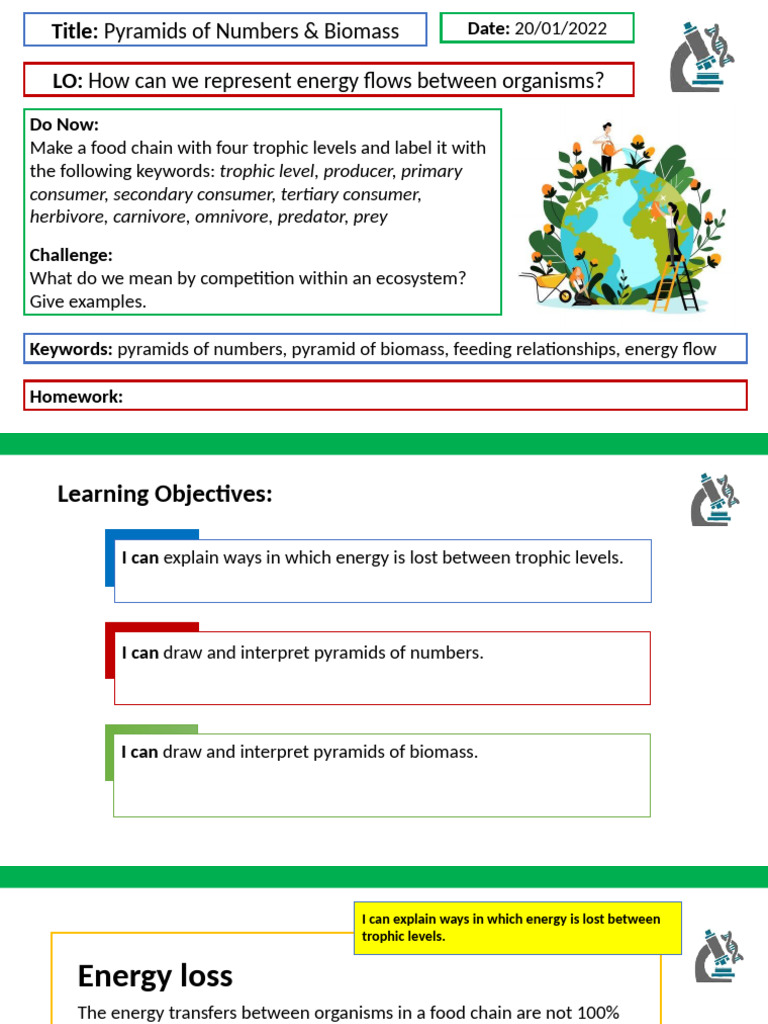 Pyramids of Numbers Biomass | PDF | Ecology | Natural Environment