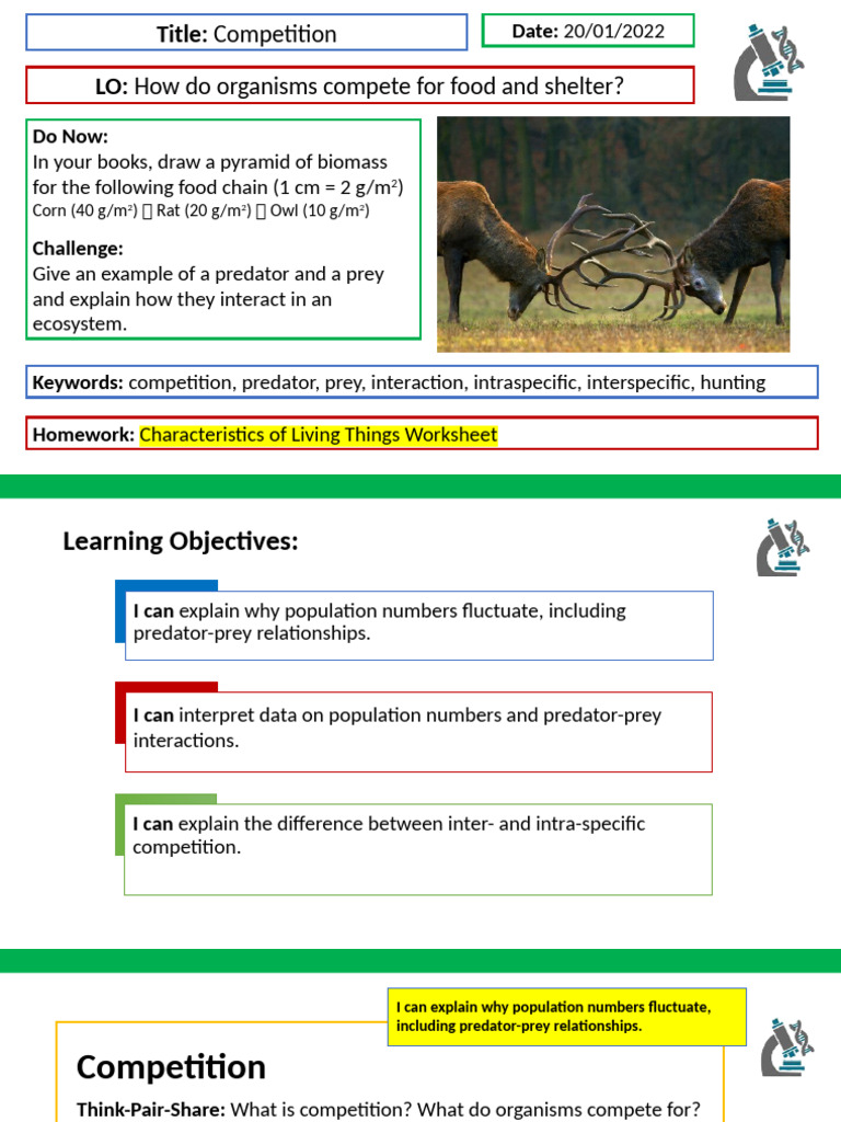 Understanding Predator-Prey Competition | PDF | Predation | Animal Death