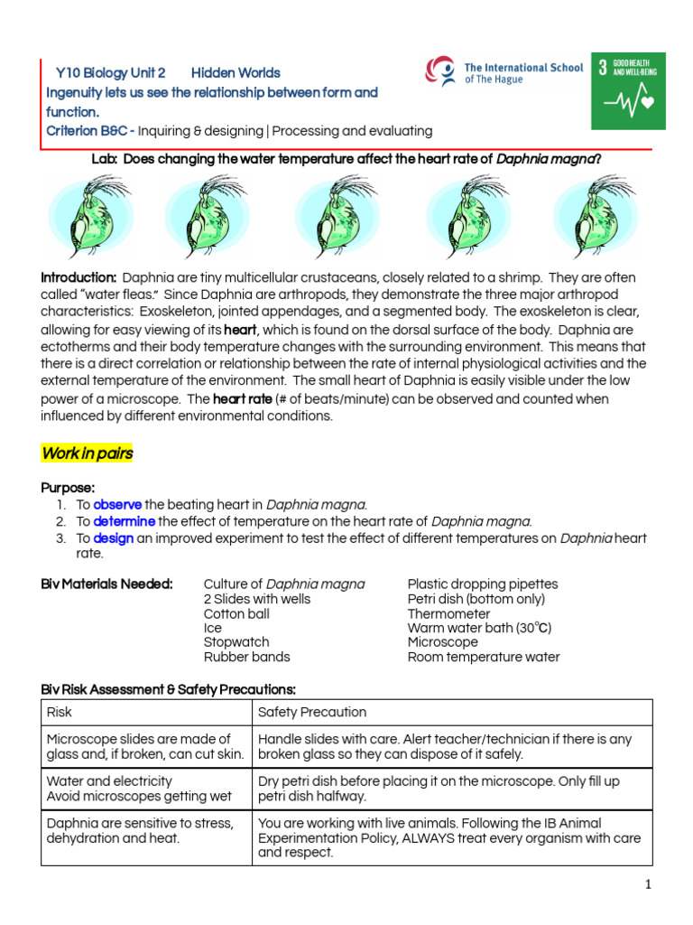 Anne Nicole Devid - L8 Daphnia Lab | PDF | Heart Rate | Temperature