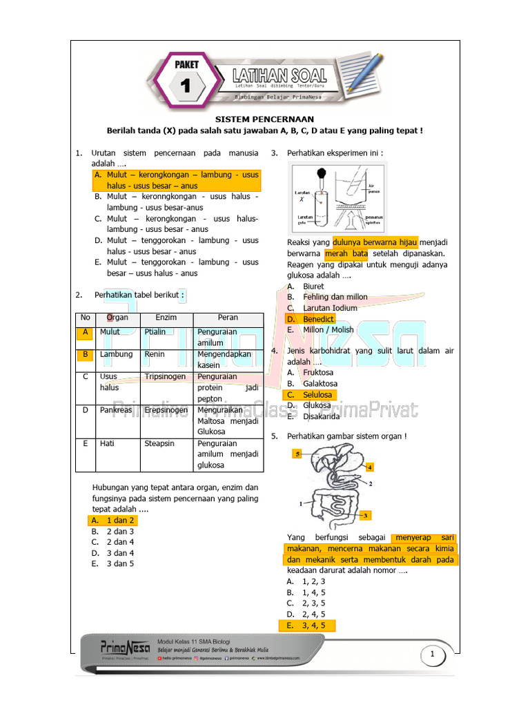 Jawaban Latihan Soal Sistem Pencernaan | PDF