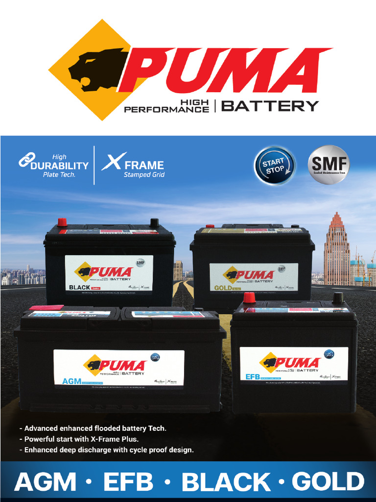 Brochure-PUMA-2024 | PDF