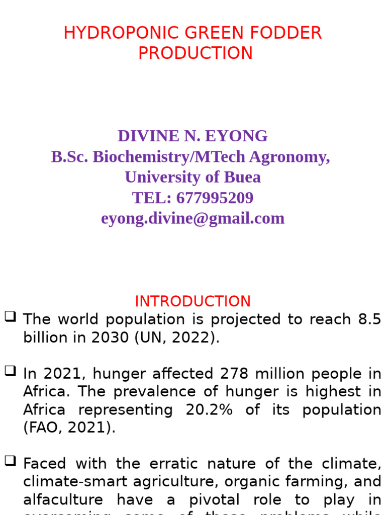 Hydroponic Fodder For Livestock | PDF | Fodder | Cereals