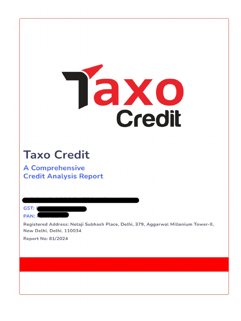 Taxo Credit Confidential Report | PDF