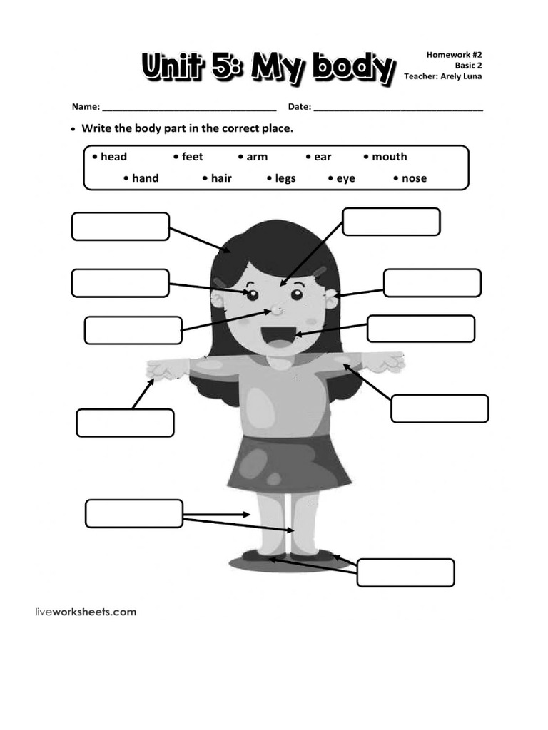 My Body | PDF