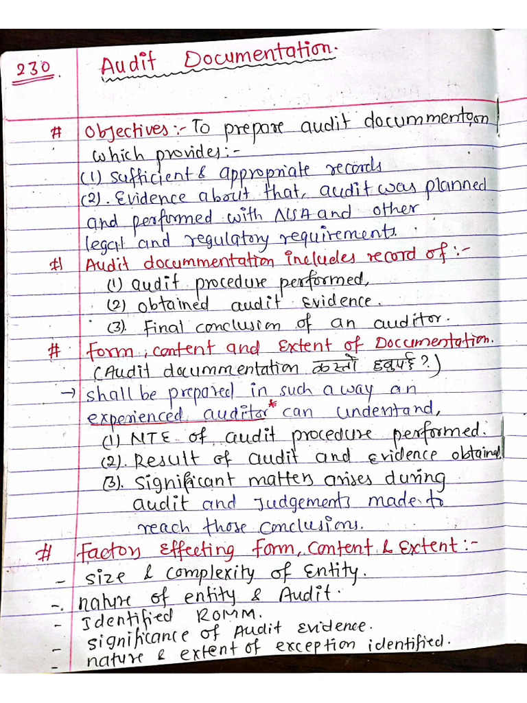 230 AUDIT DOCUMENTATION | PDF