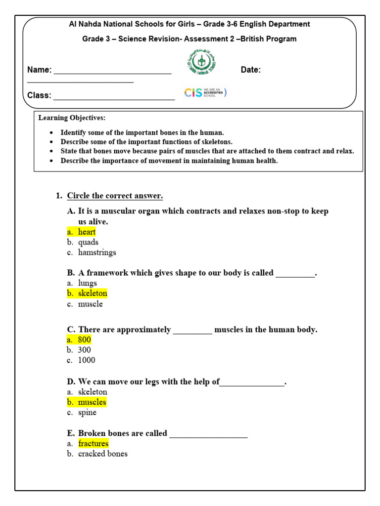 Science Revision Worksheet-Assessment 2 - Term 2 - Answewr Key | PDF ...