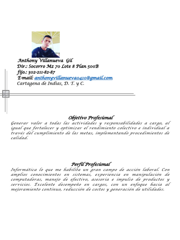 CV de Anthony Villanueva: Experiencia Laboral | PDF