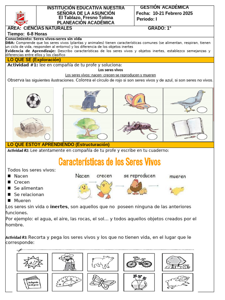 1° Seres Vivos & Seres No Vivos | PDF | Aprendizaje | Cognición