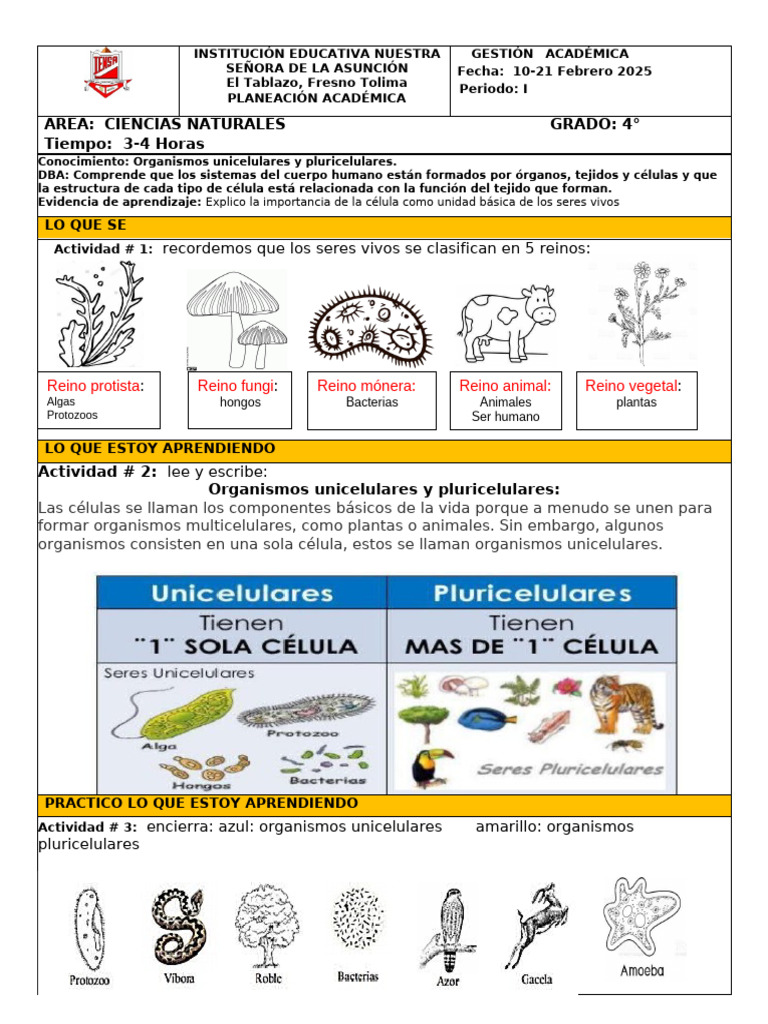 Niveles de Organización Celular | PDF | Organismos | Biología Celular)