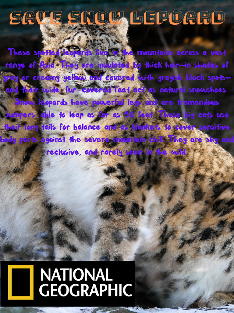 save snow lepoard | PDF