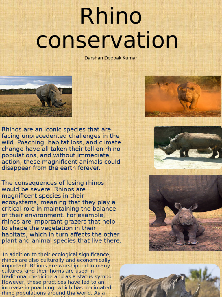 Urgent Rhino Conservation Strategies | PDF