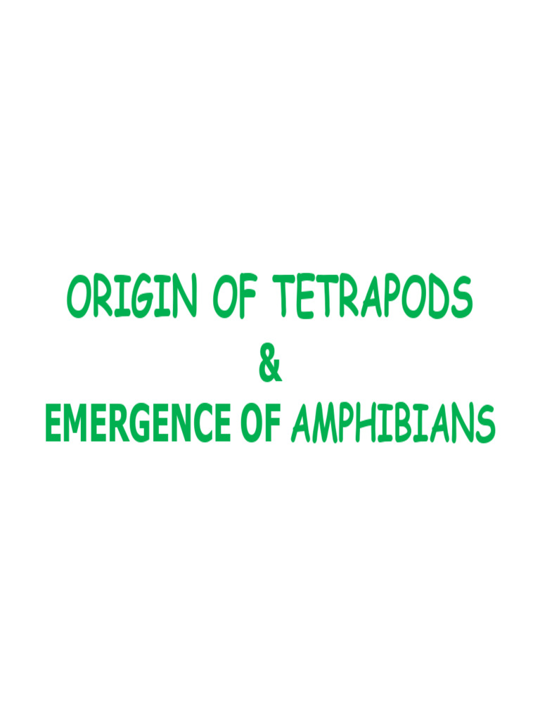 Evolution of Amphibians and Tetrapods | PDF | Amphibian | Frog