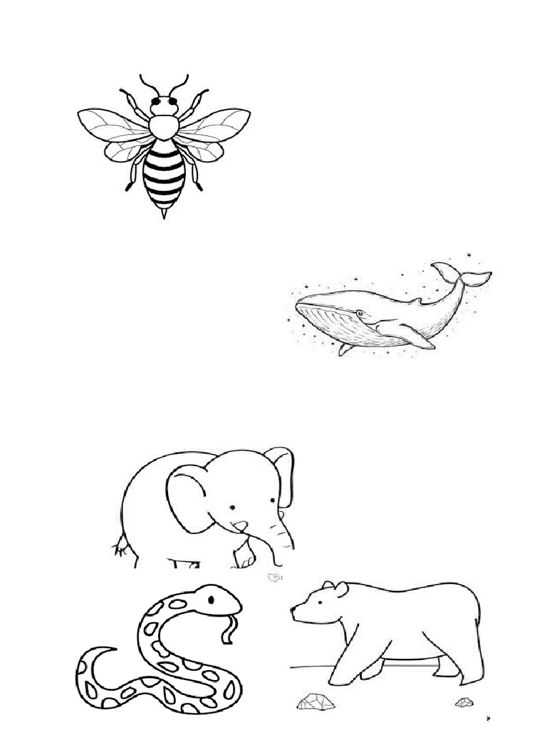 Animales Para Imprimir Pdf