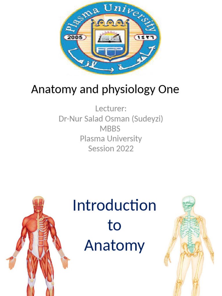 Anatomy and Physiology Overview | PDF | Anatomical Terms Of Motion ...